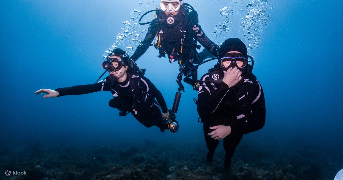 New Taipei｜Siji Bay Moana Scuba Diving Studio en Northeast Corner｜Experiencia de buceo (sin ...